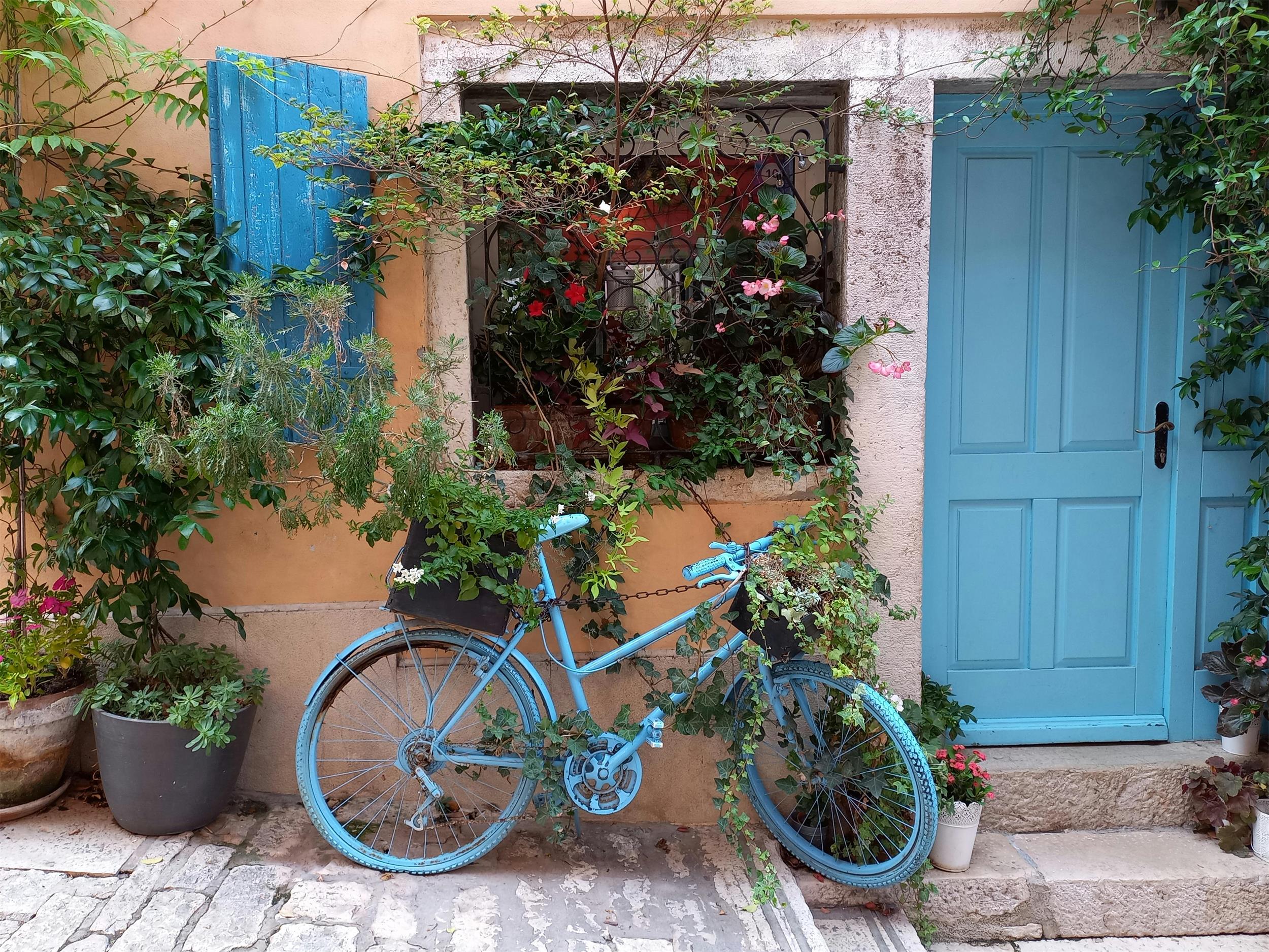 Elevate Your Security with MUBVIEW DX2 360° PTZ Wireless WiFi Support ...